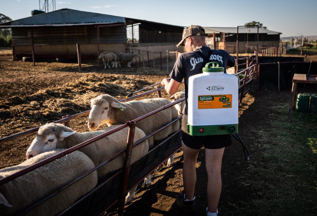 EZ Spray Electric 12V Rechargeable 16L Backpack Sprayer ...